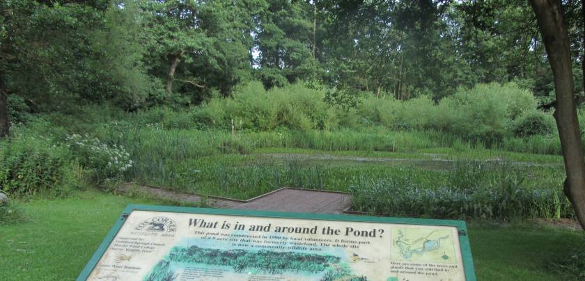 The Fox Corner Community Wildlife Area